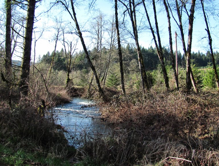 Camp Creek Road Springfield Lane County Oregon Real Estate – Eugene ...