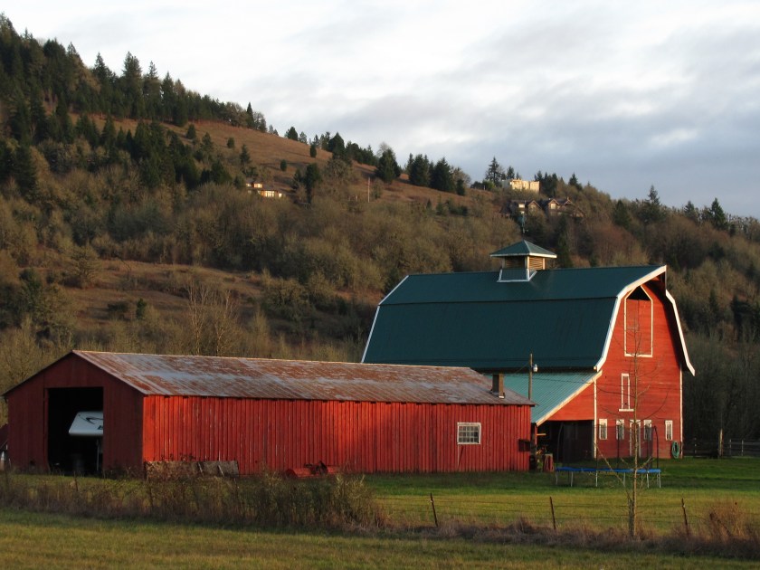 Mohawk Valley, Lane County, Oregon Real Estate – Eugene Oregon Real ...