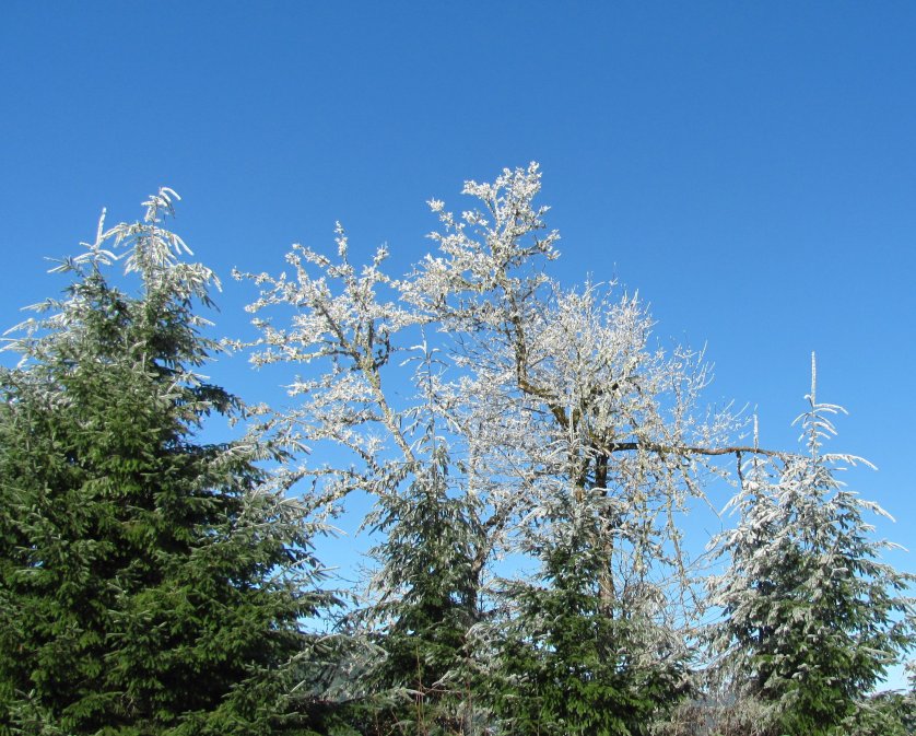 Mohawk Valley, Lane County, Oregon Real Estate – Eugene Oregon Real ...